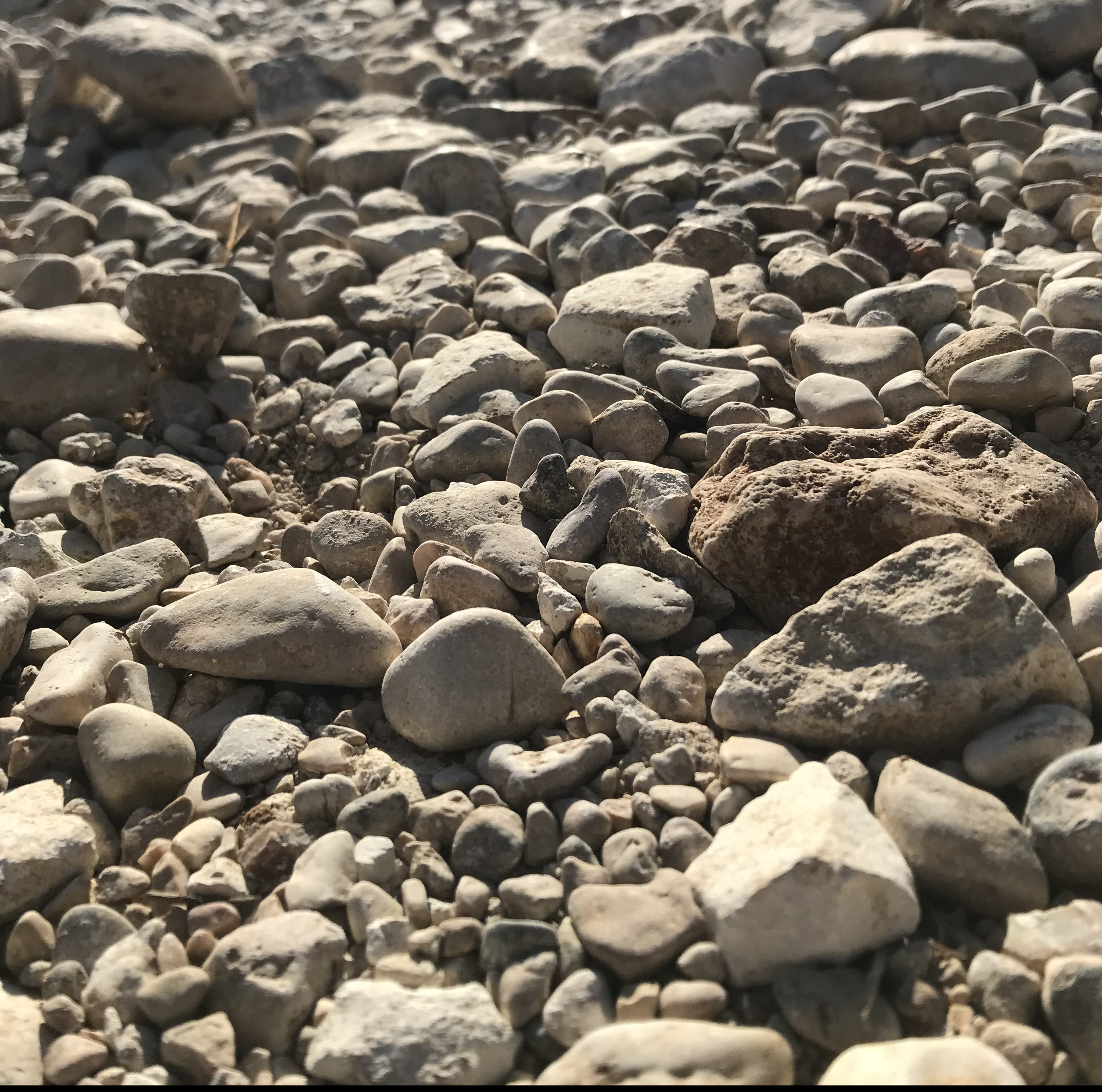 Day 3 ~ Choosing Stones | Discover Lent With Me