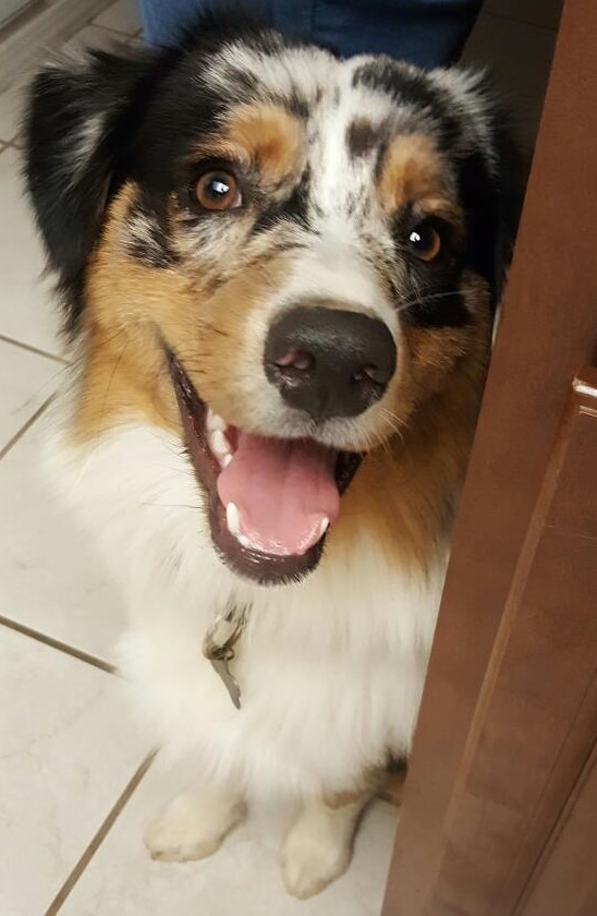 Day 19 ~ Be Like Boaz | Discover Lent With Me